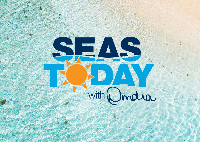 The Celebrity Commitment - Official Site